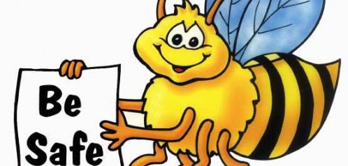 Safe Arrival Program | Unsworth Elementary